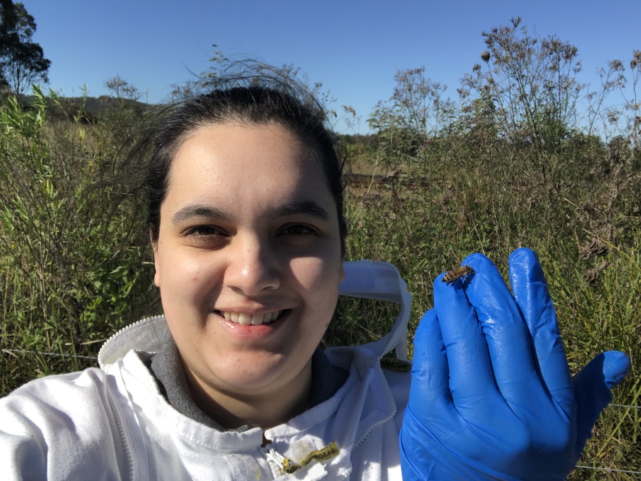 Events – NSW Apiarists’ Association